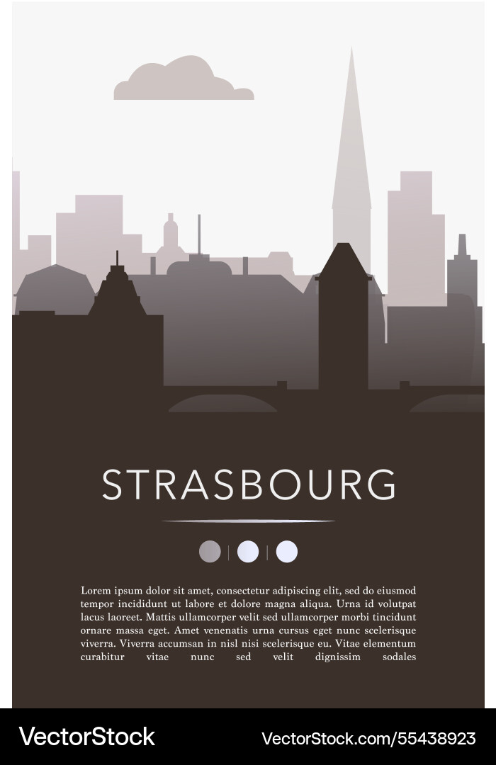 Strasbourg city template for website presentation Vector Image