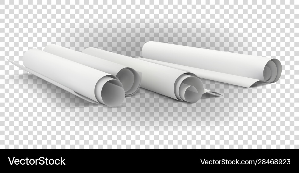 White paper rolls for drawings Royalty Free Vector Image