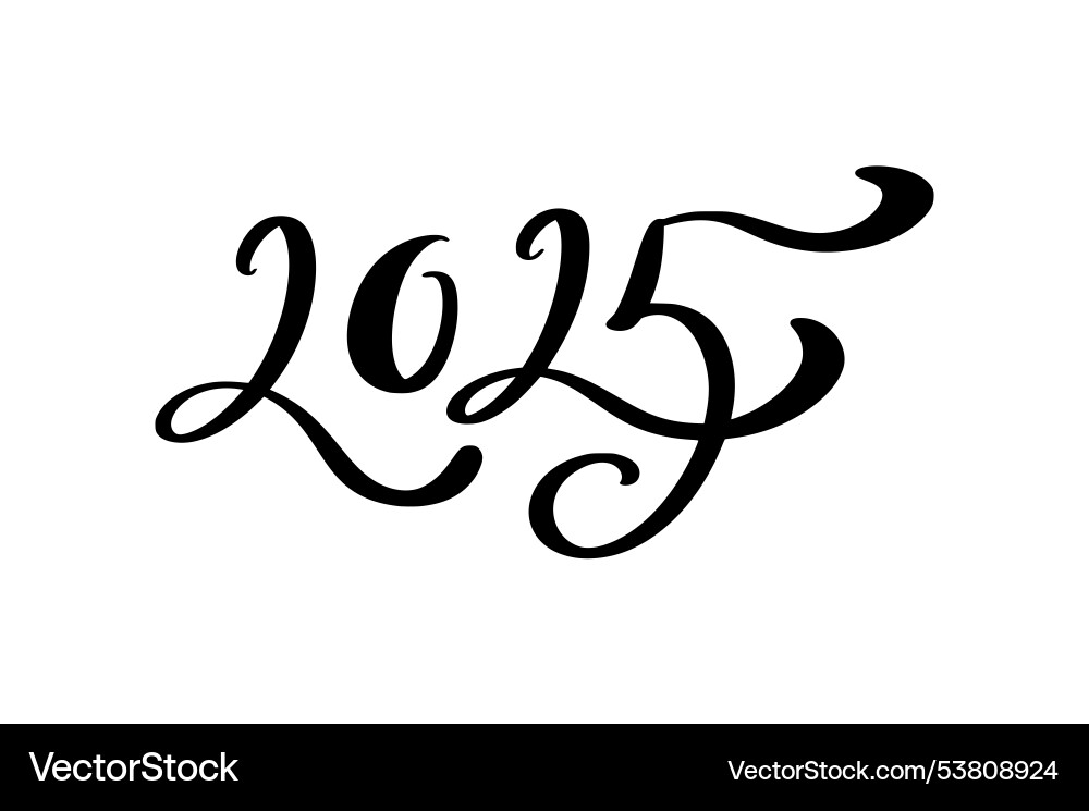 2025 hand written numbers with brush calligraphy Vector Image