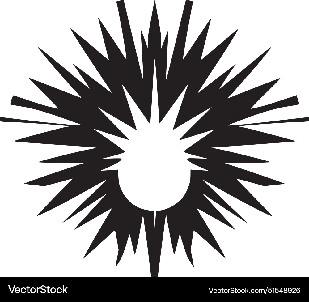 Explosion - minimalist and simple silhouette Vector Image