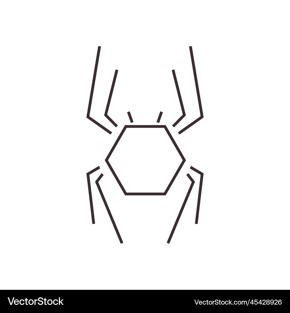 Insect hexagon icon logo Royalty Free Vector Image