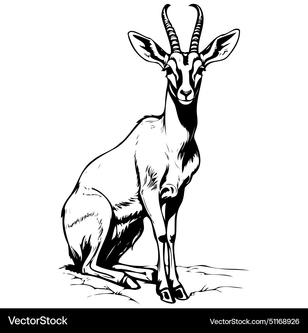 Vintage antelope sitting drawing outline cartoon Vector Image