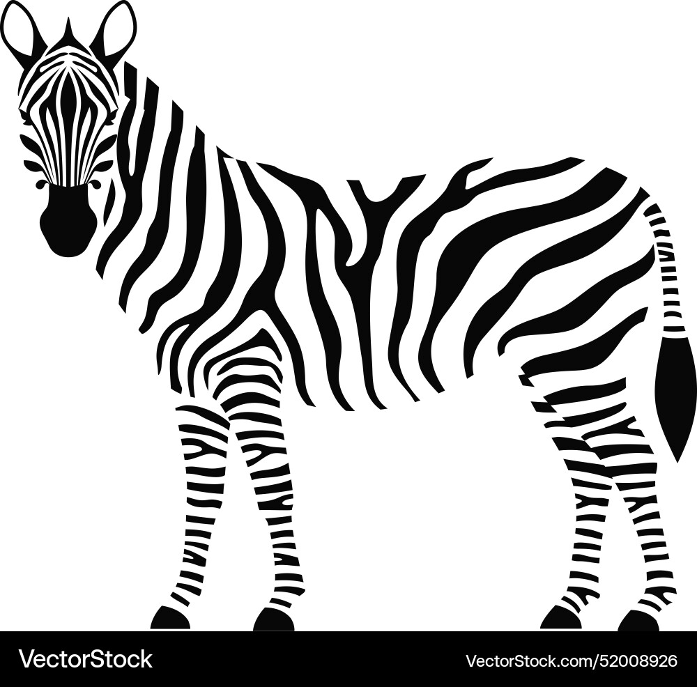 Zebra Royalty Free Vector Image - VectorStock