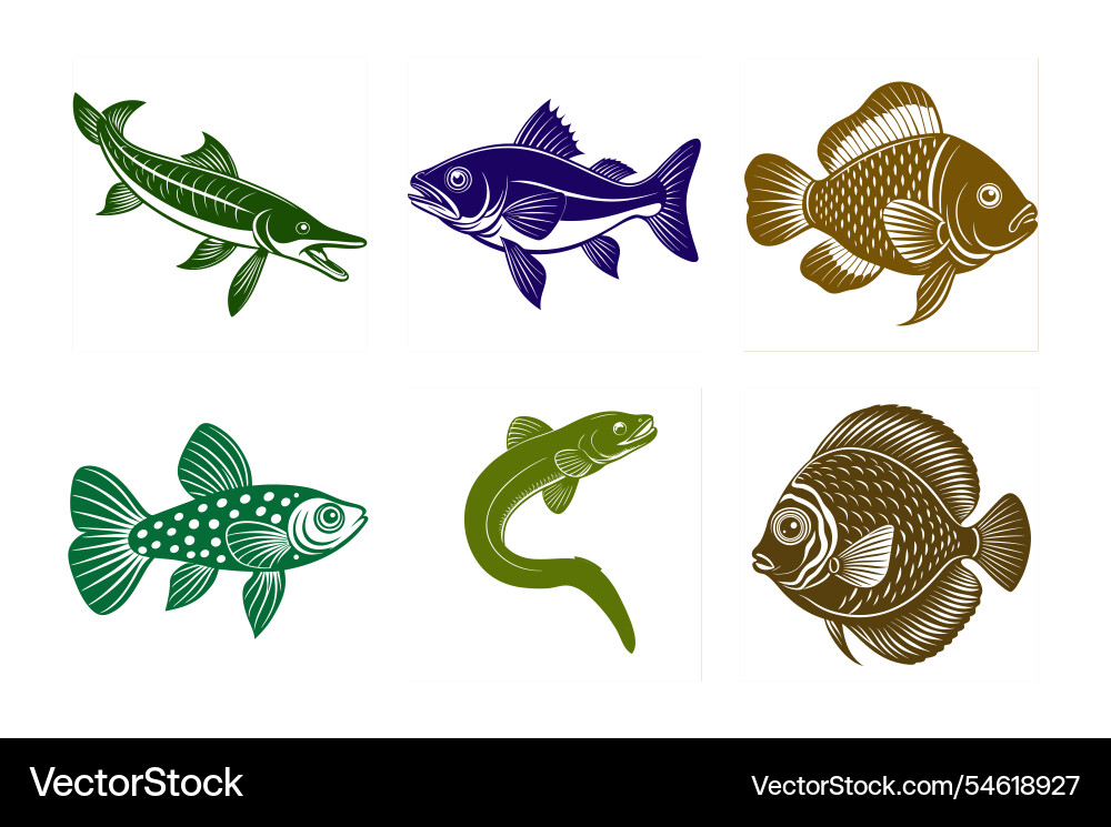 Fish line art Royalty Free Vector Image - VectorStock