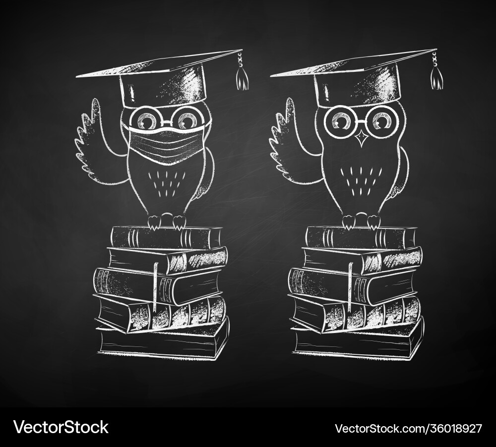 Student owl sitting on books Royalty Free Vector Image