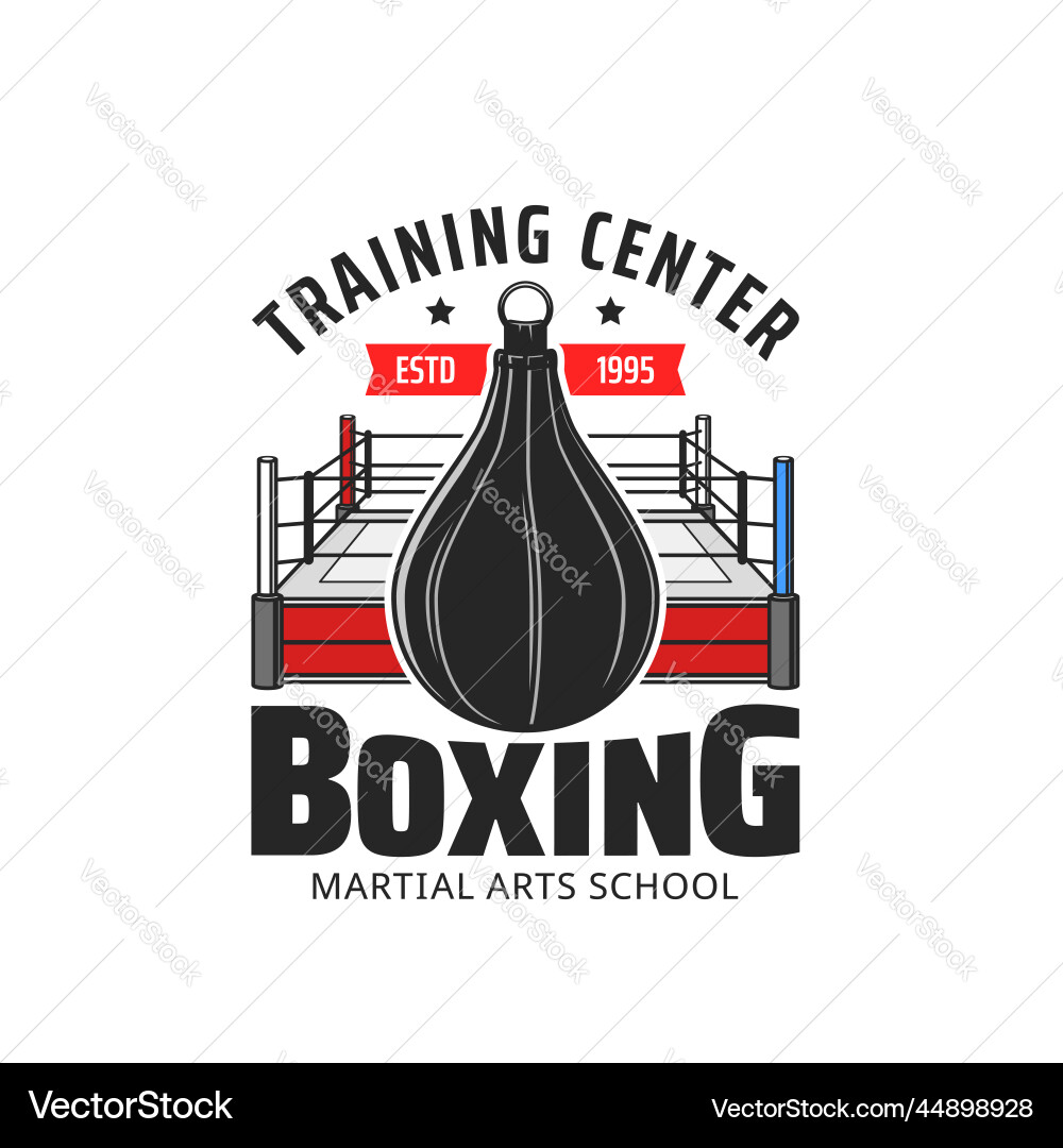 Boxing training center icon punching bag and ring Vector Image