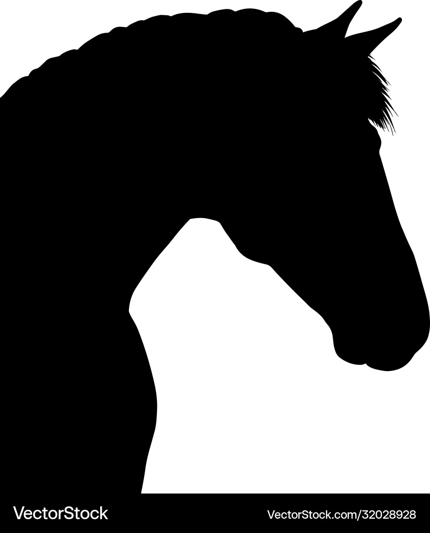Black Horse Head