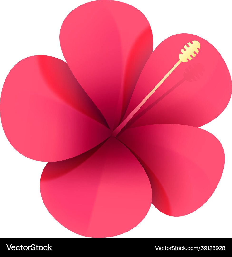 Paper flower Royalty Free Vector Image - VectorStock