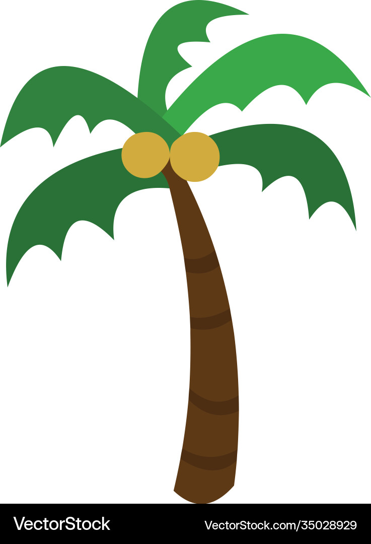 Palm Royalty Free Vector Image - VectorStock