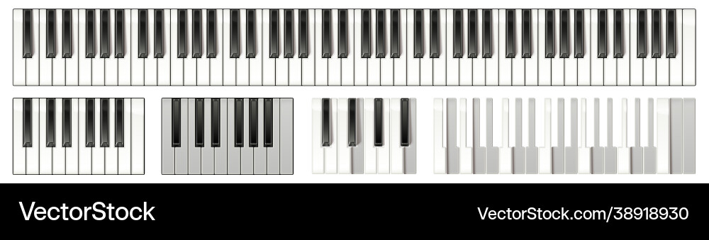 Grand piano keyboard with 88 keys Royalty Free Vector Image