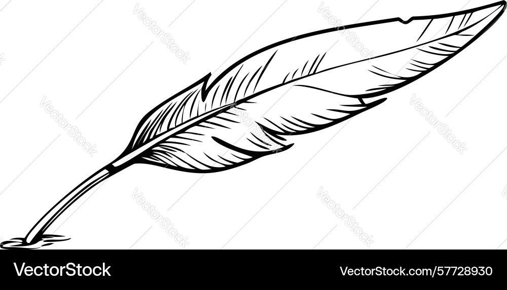 Quill pen feather outline classic writing Vector Image