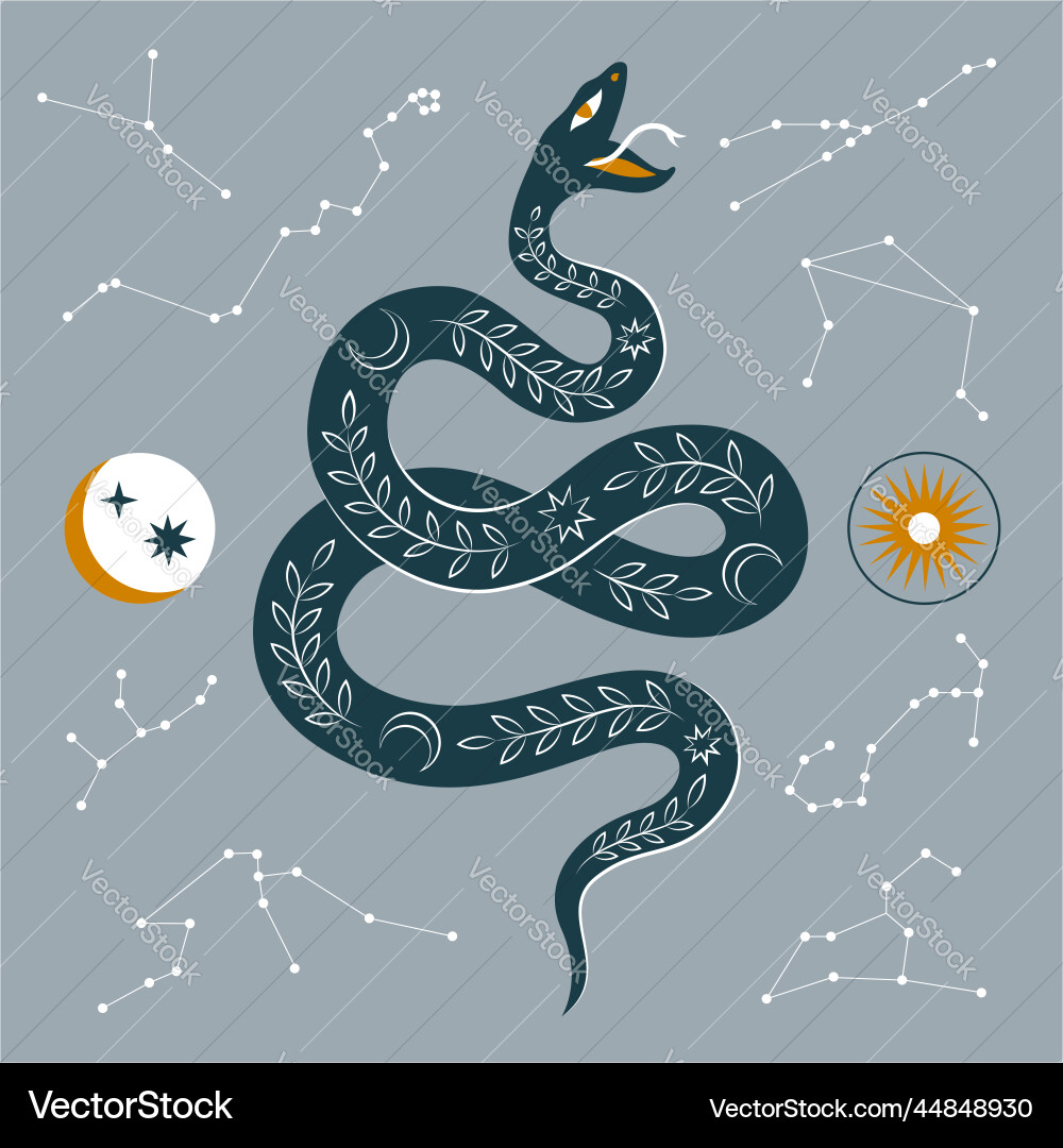 Snake and constellations Royalty Free Vector Image
