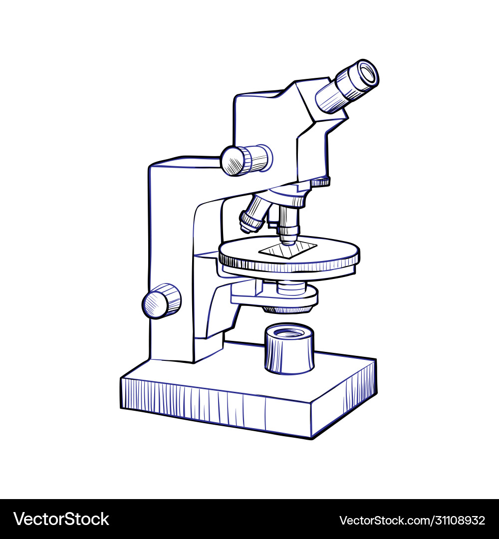 Microscope sketch and line art Royalty Free Vector Image