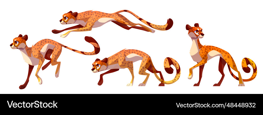 Set of jumping and running cheetah leopard Vector Image