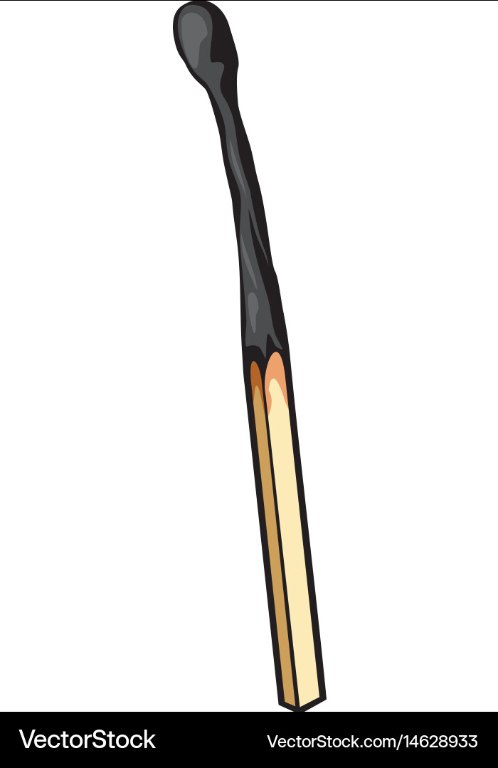 Burnt match stick Royalty Free Vector Image - VectorStock
