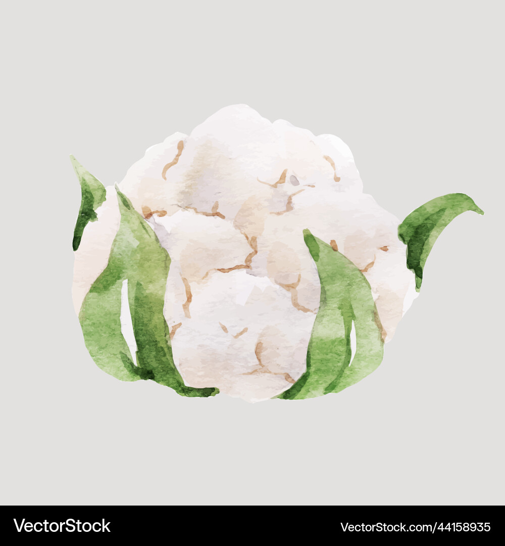 Beautiful stock clip art Royalty Free Vector Image