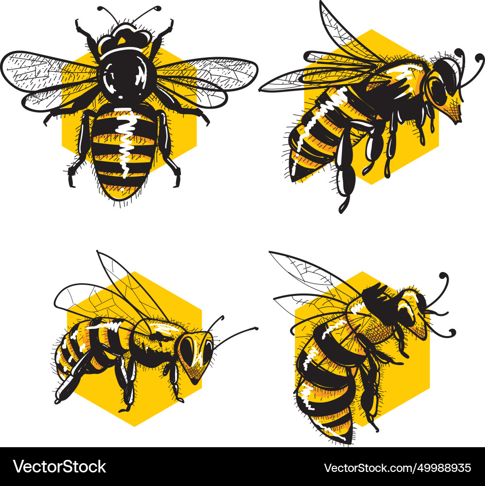 Bee hand-drawn style Royalty Free Vector Image