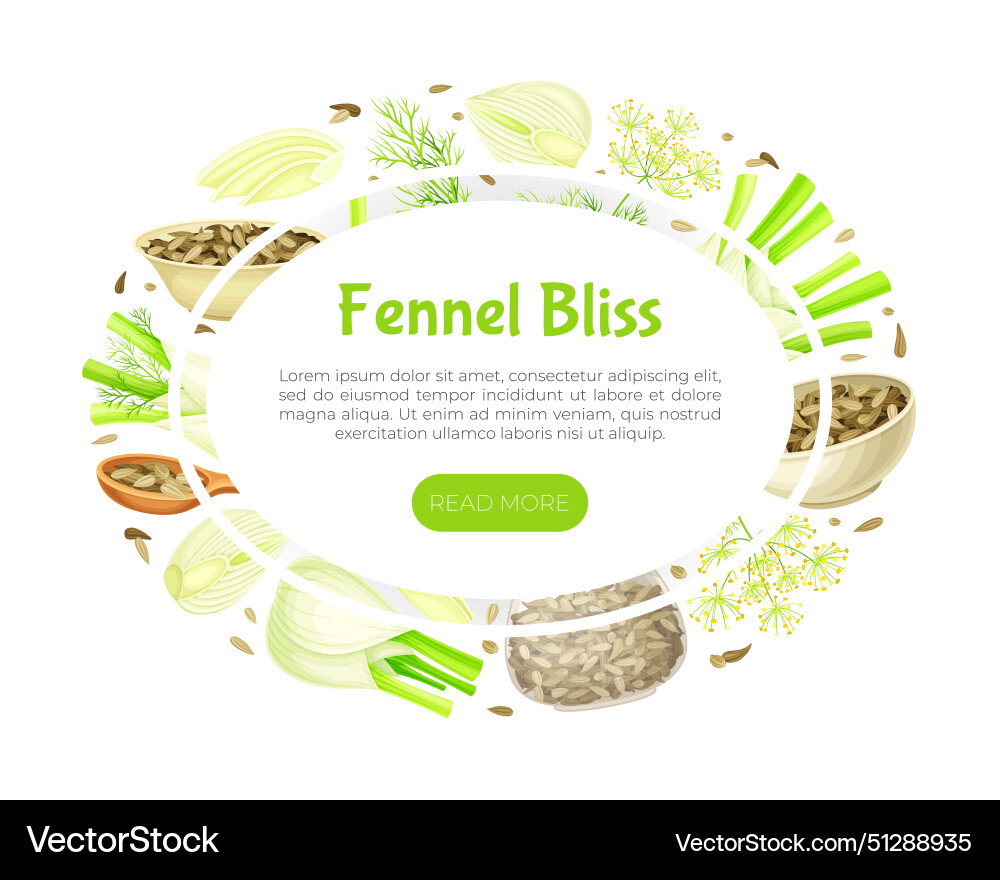 Fennel banner design with edible condiment Vector Image