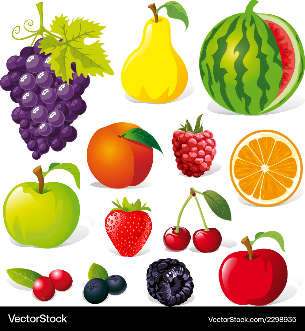 Fruit Royalty Free Vector Image - VectorStock