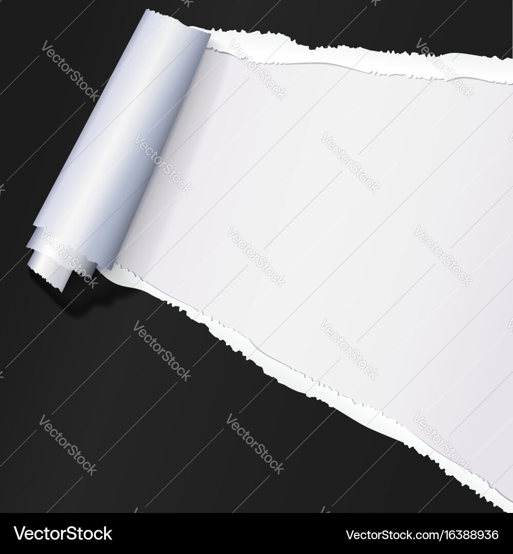Realistic black torn open paper with space Vector Image