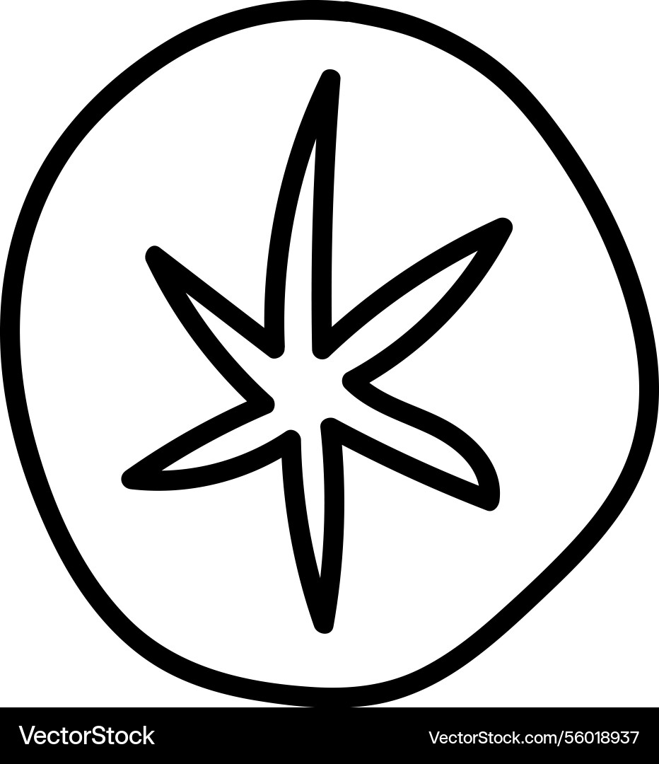 Abstract lined star Royalty Free Vector Image - VectorStock