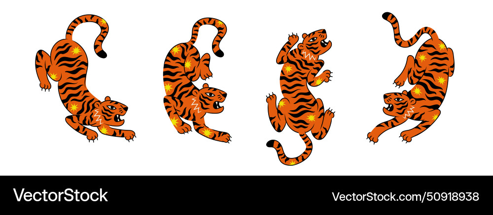 Boho celestial magic art tiger with stars Vector Image