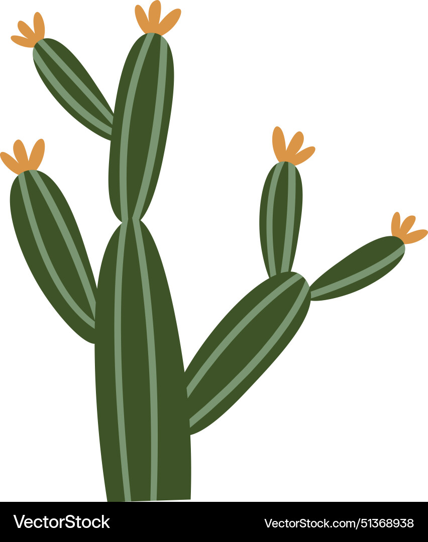 Cactus blooming plant Royalty Free Vector Image