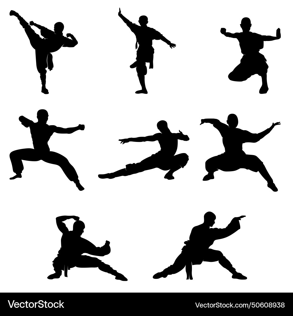 Kung fu silhouettes Royalty Free Vector Image - VectorStock Kung fu silhouettes Royalty Free Vector Image - VectorStock