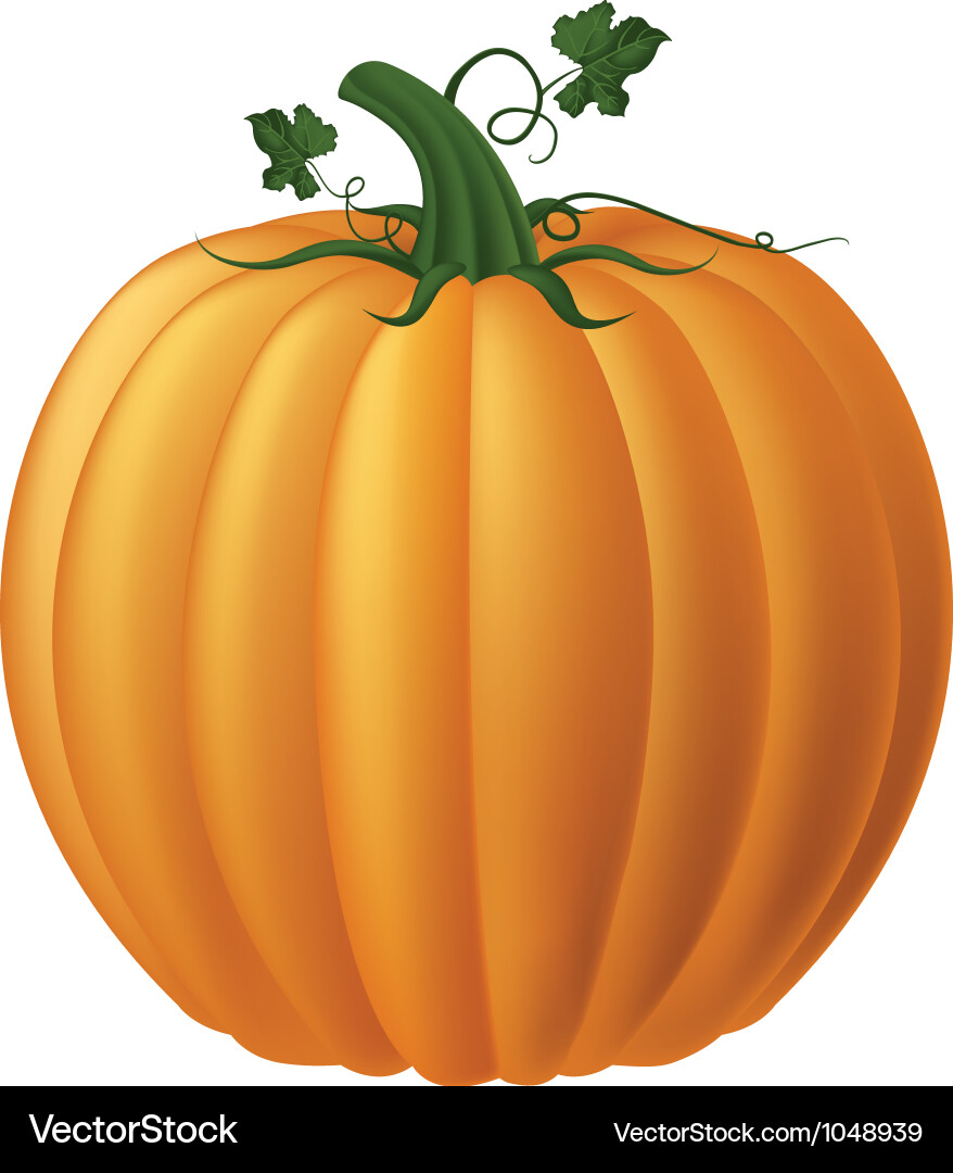 Pumpkin Royalty Free Vector Image - VectorStock