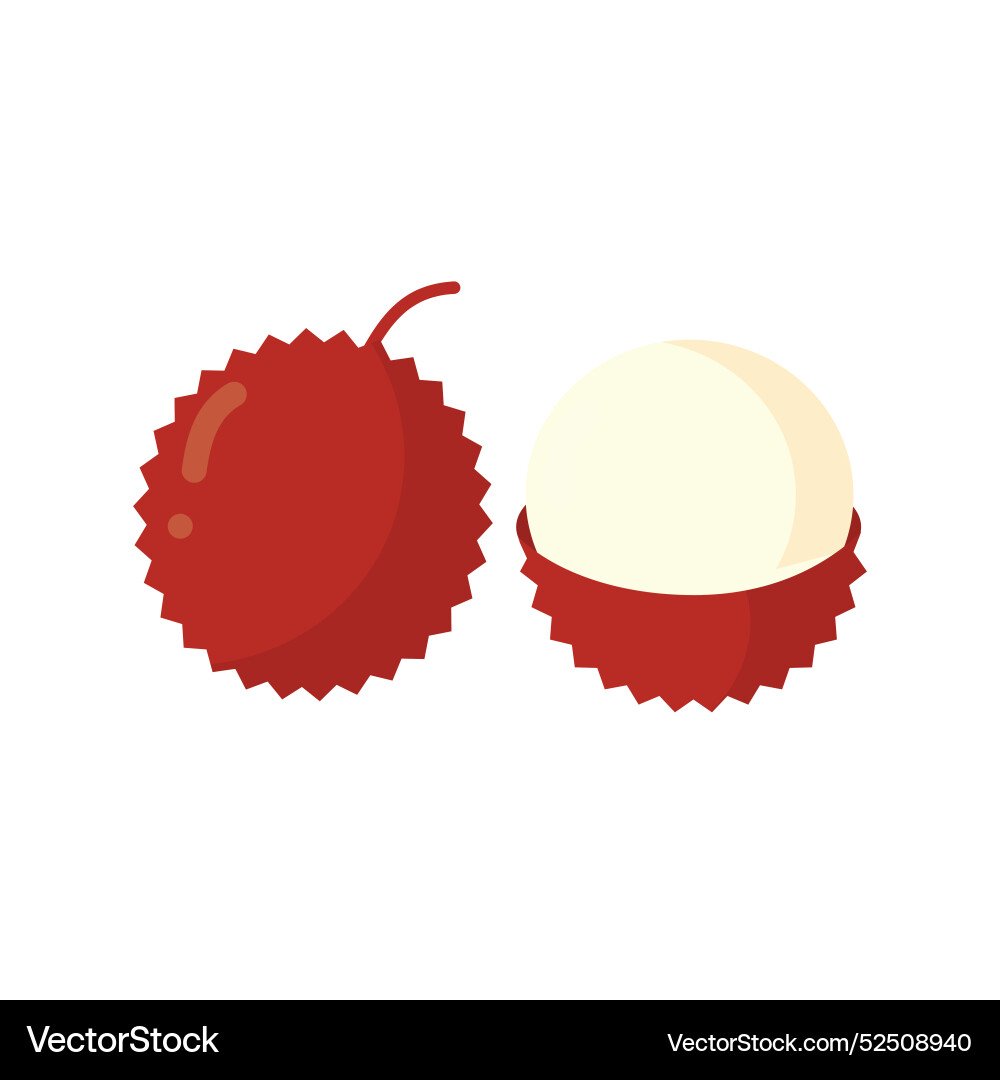 Lychee fruit design isolated Royalty Free Vector Image