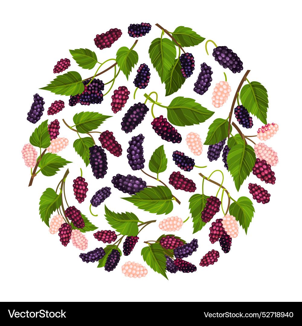 Mulberry round composition design with garden Vector Image