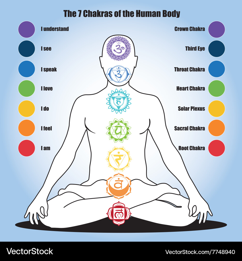 Seven chakras of the human body Royalty Free Vector Image Seven chakras of the human body Royalty Free Vector Image