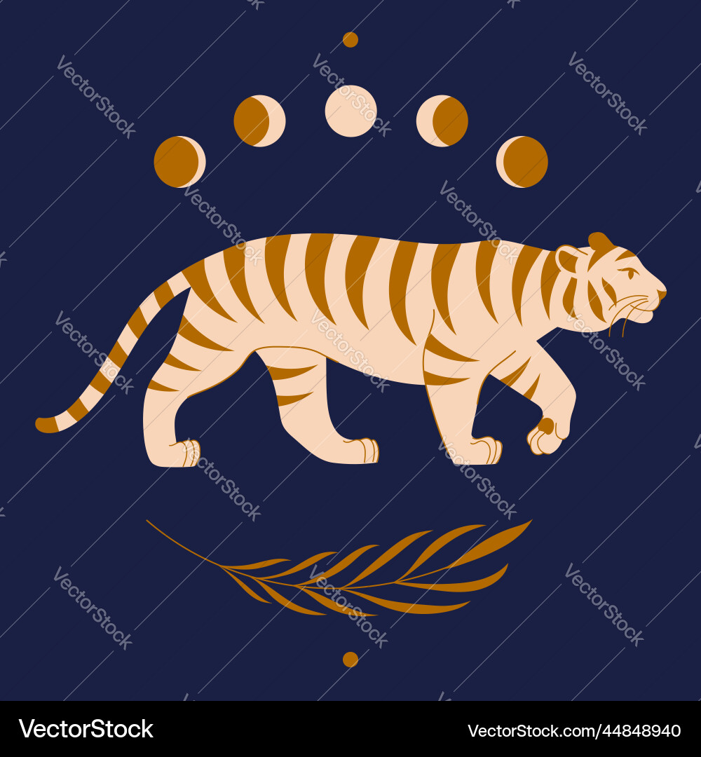 Tiger moon phases and branch Royalty Free Vector Image