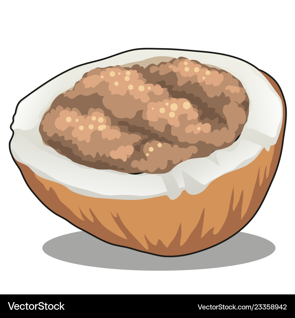 Coconut products isolated on white background Vector Image