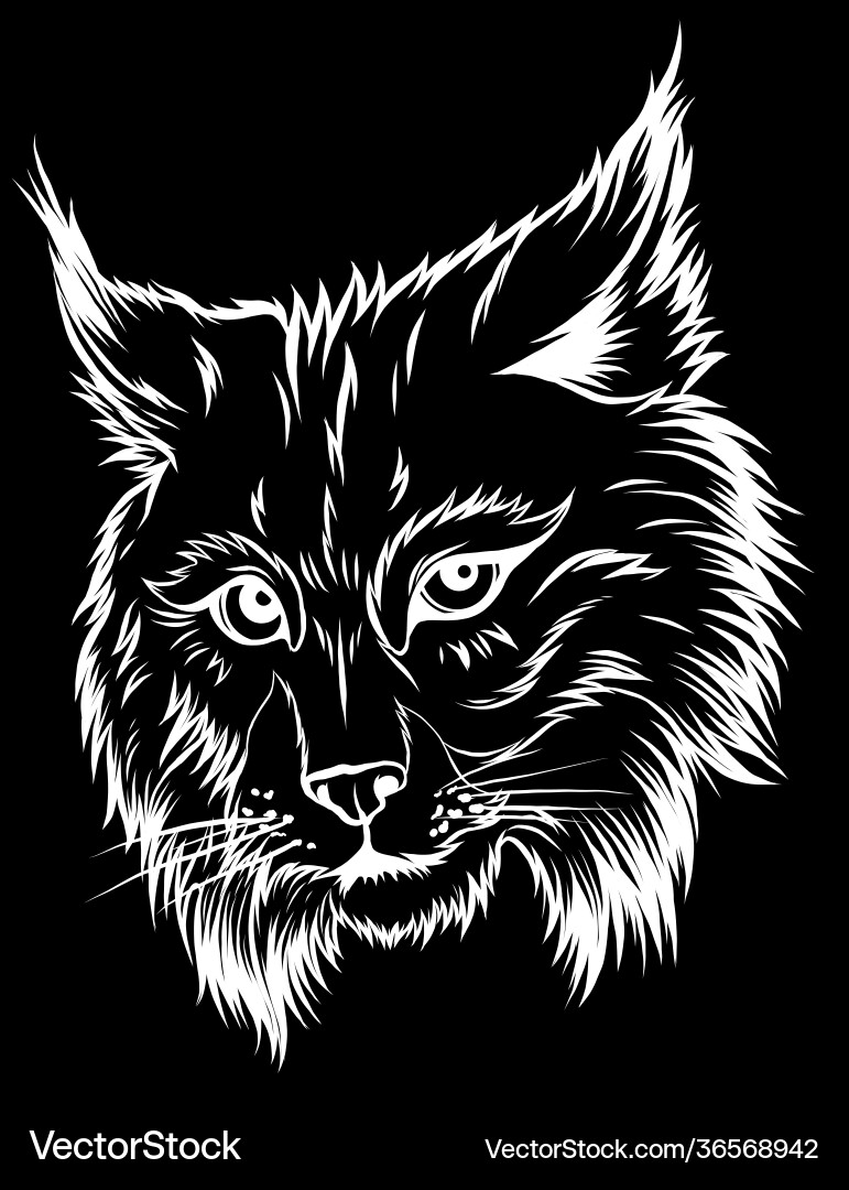 Eurasian lynx isolated Royalty Free Vector Image