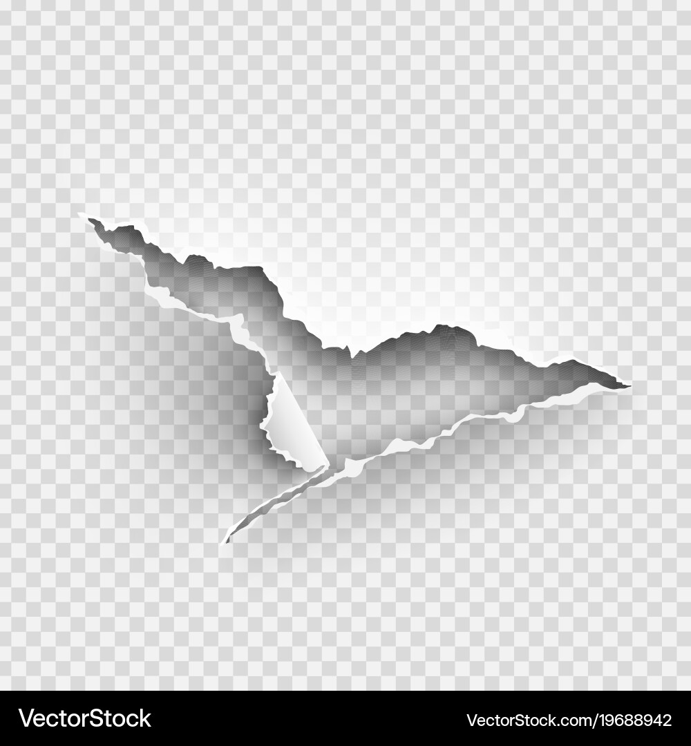 Hole torn in ripped paper on transparent Vector Image