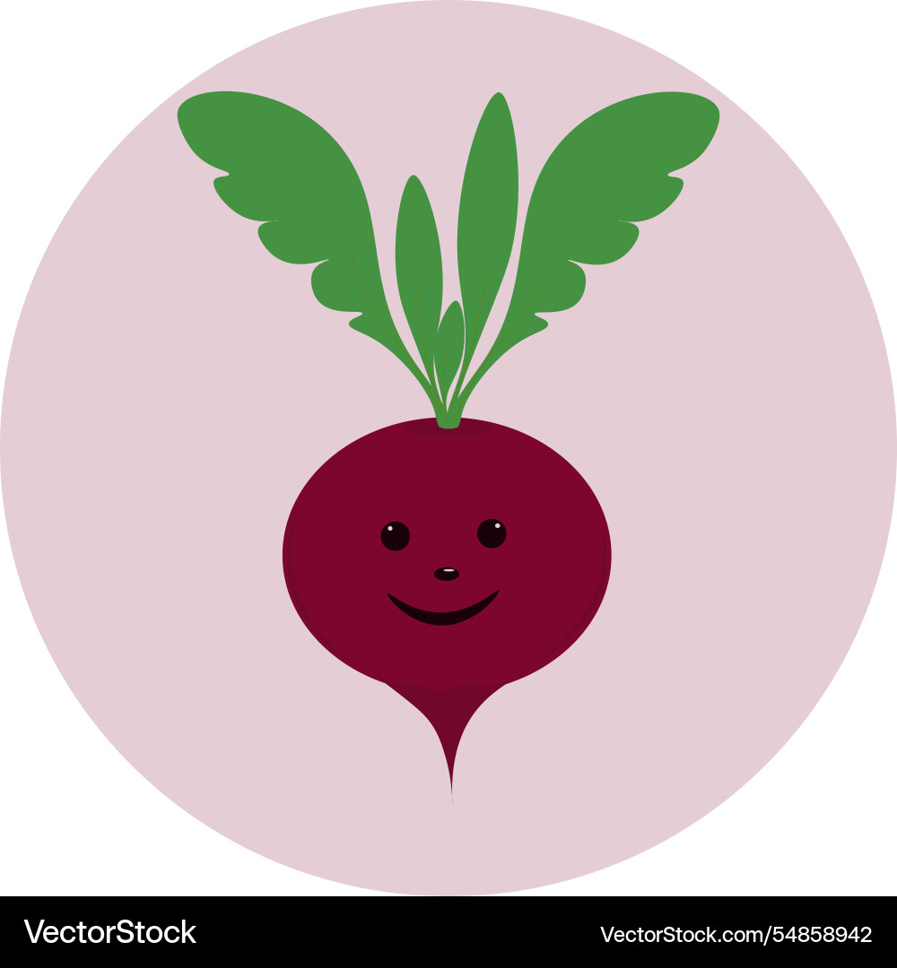 Maroon beetroot with green leaves vegetable Vector Image