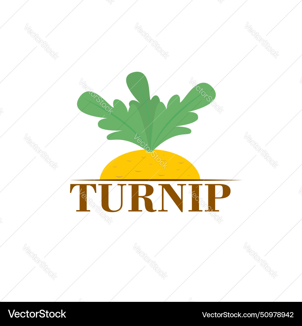Yellow turnip vegetable logo Royalty Free Vector Image