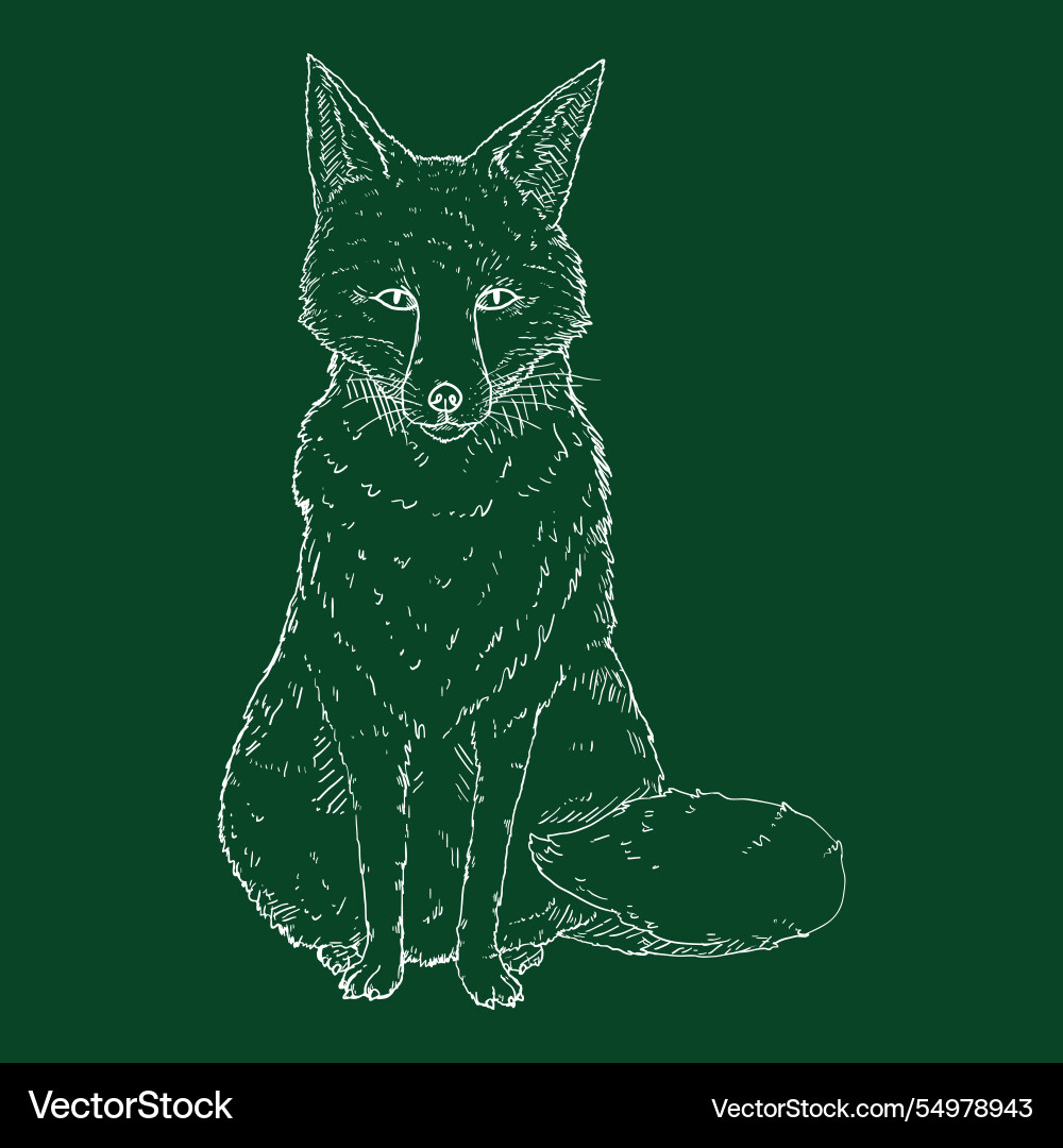Sketch sitting fox front view hand drawn Vector Image