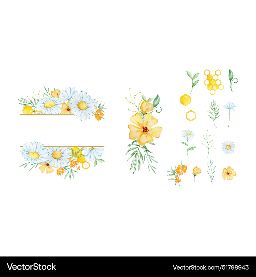 Watercolor floral frame with honeycomb daisy Vector Image