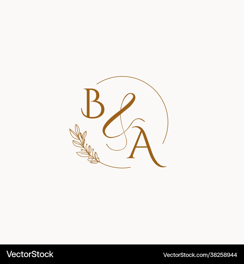 Ba initial wedding monogram logo Royalty Free Vector Image