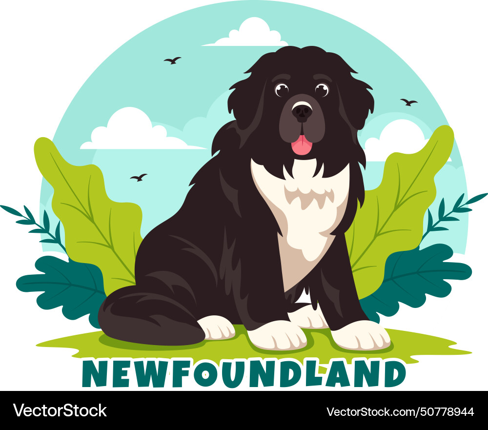 Newfoundland dog animals with black brown or Vector Image