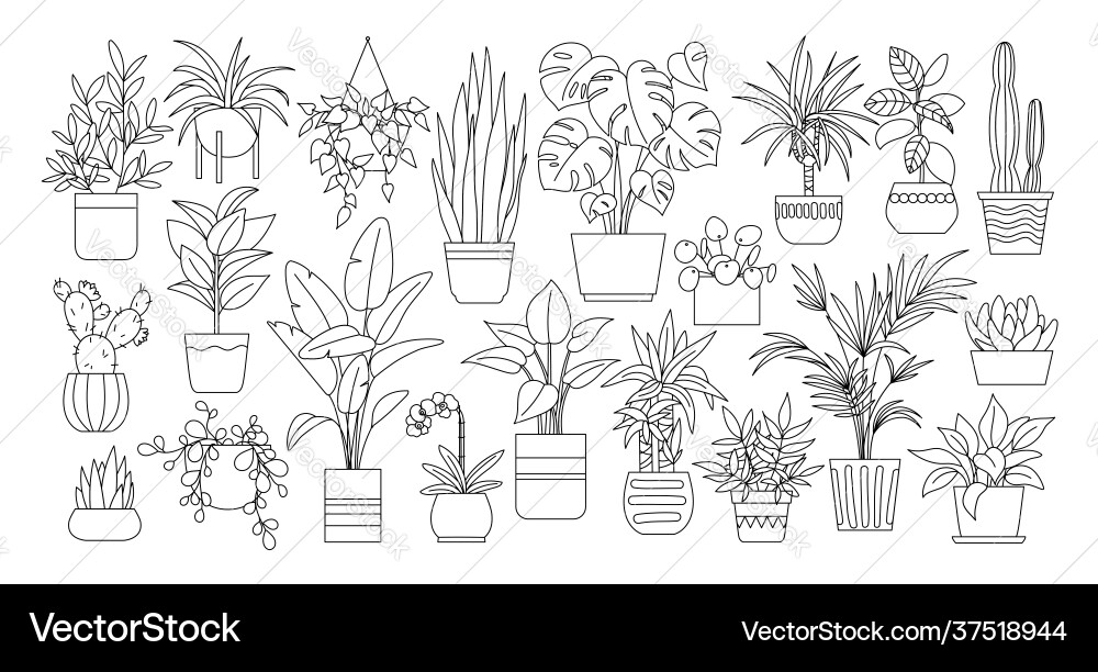 Outline drawings plants Royalty Free Vector Image