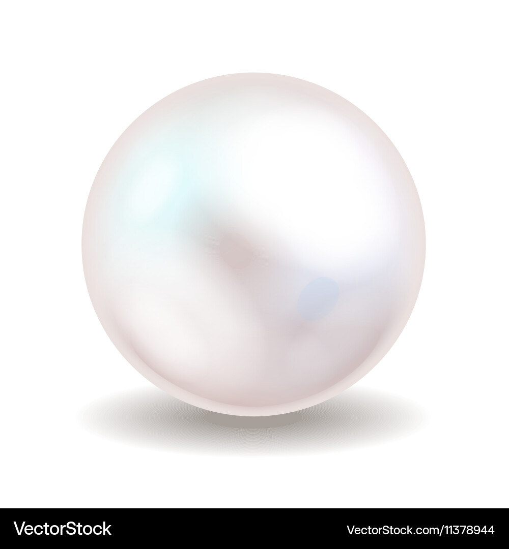 White pearl sea isolated Royalty Free Vector Image