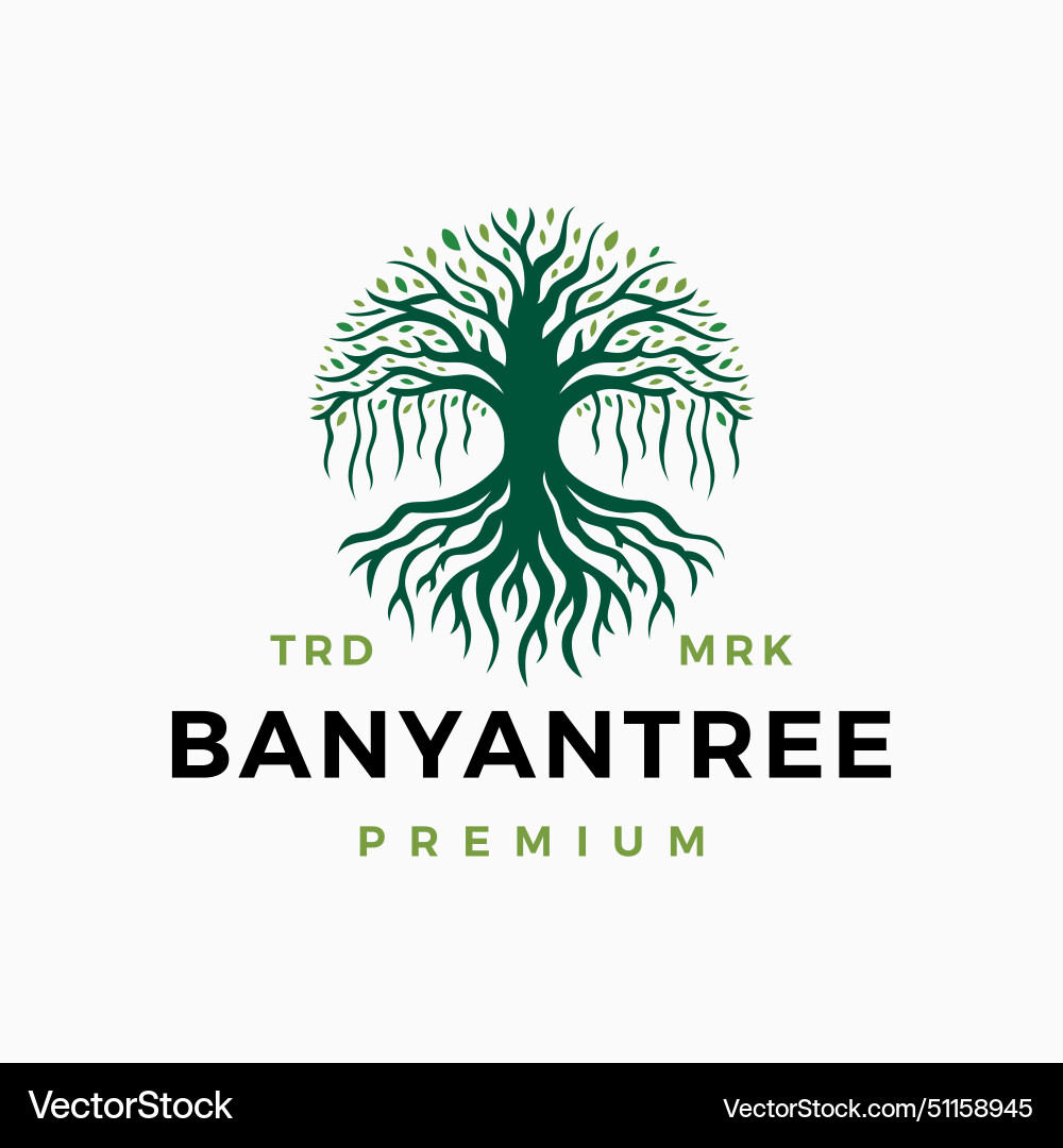 Banyan tree root leaf nature natural green logo Vector Image