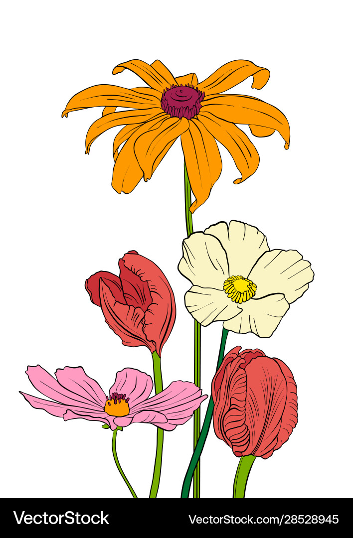 Drawing flowers Royalty Free Vector Image - VectorStock