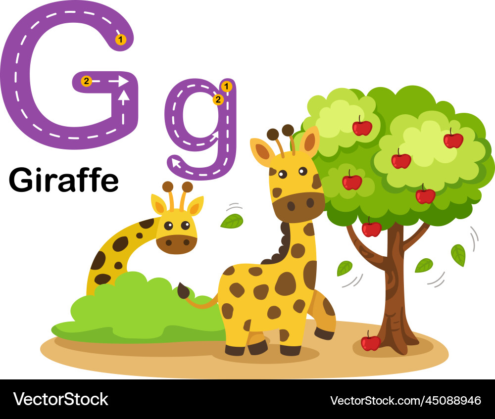 Alphabet letter g-giraffe with cartoon vocabulary Vector Image