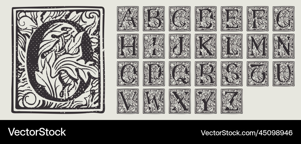 Alphabet set of drop caps in engraved medieval Vector Image