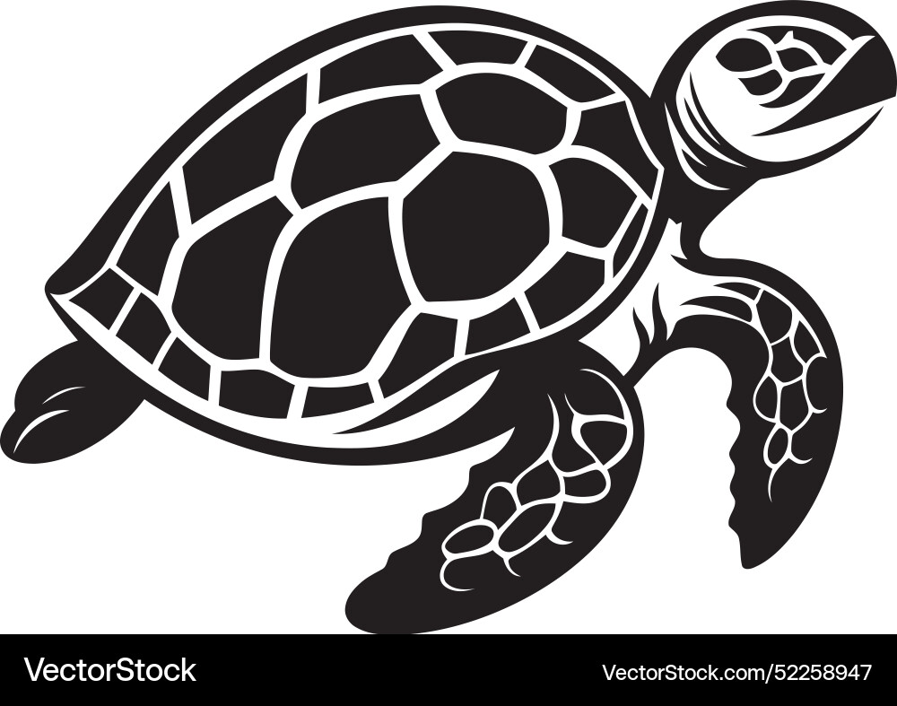 Drawing of a bold black turtlebold turtle Vector Image