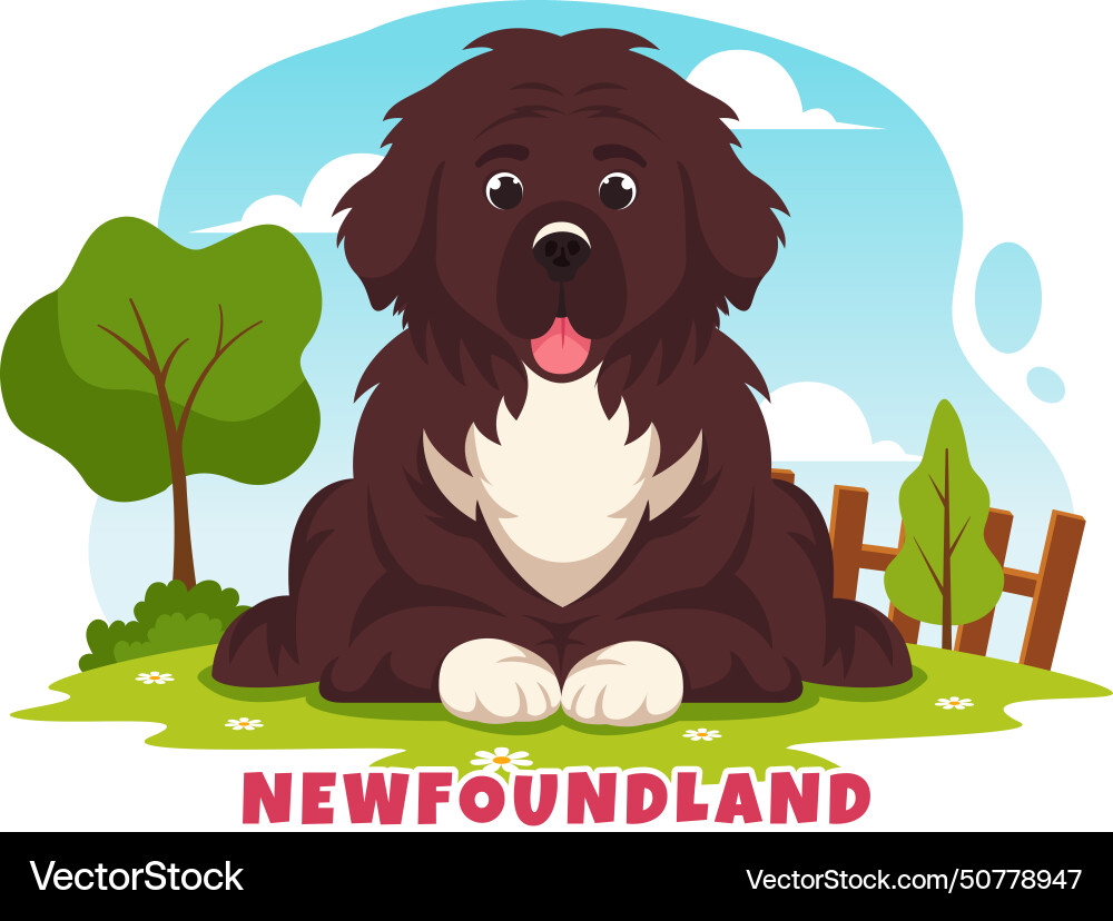Newfoundland dog animals with black brown Vector Image
